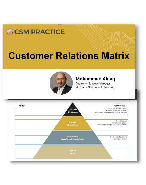 Customer Relationship Matrix Template Download 