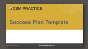 Success Plan Template - CSM Practice